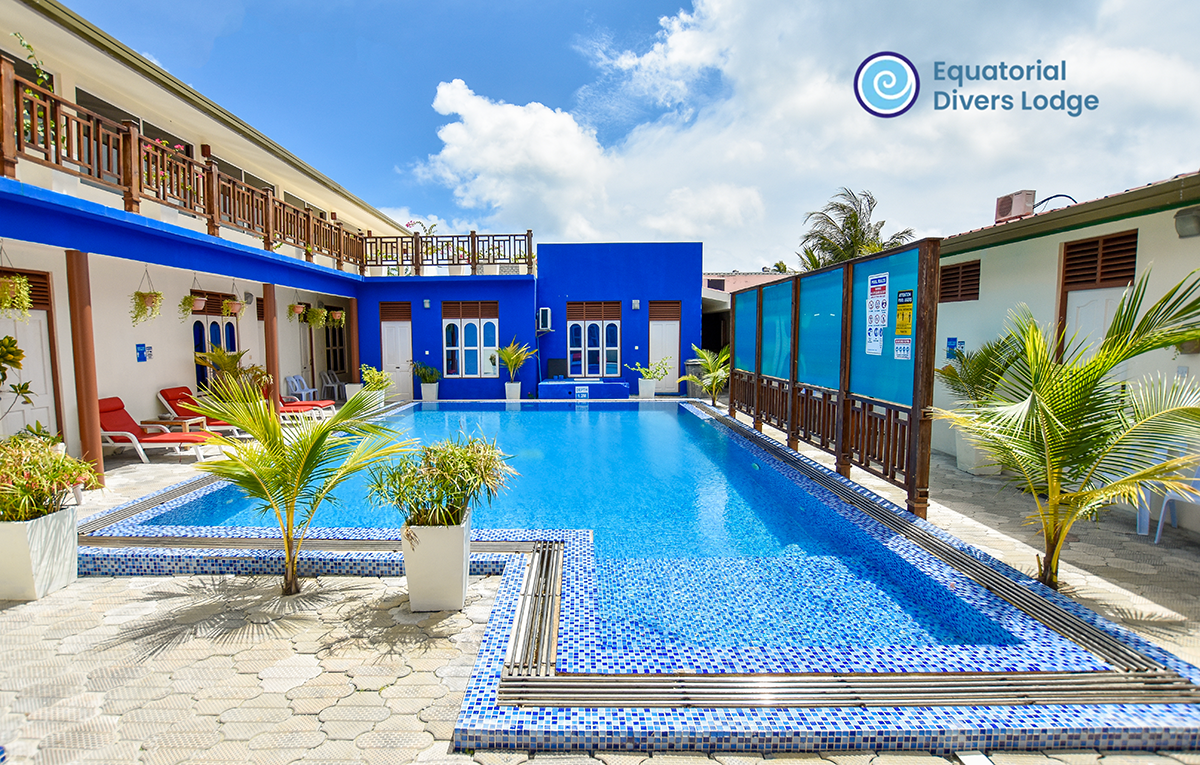Explore Our Rooms at Equatorial Divers Lodge